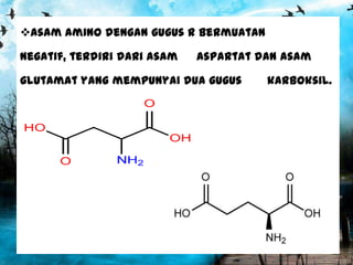 ASAM AMINO | PPTX