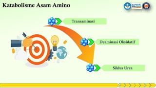 PPT penjelasan mengenai Pembentukan asam amino | PPTX