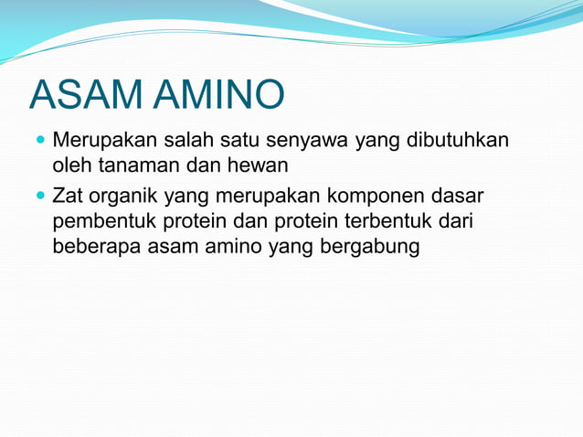 Asam Amino Maggot.pdf