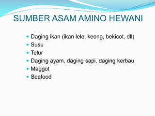 Asam Amino Maggot.pdf