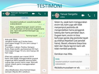 Asam Amino Maggot.pdf