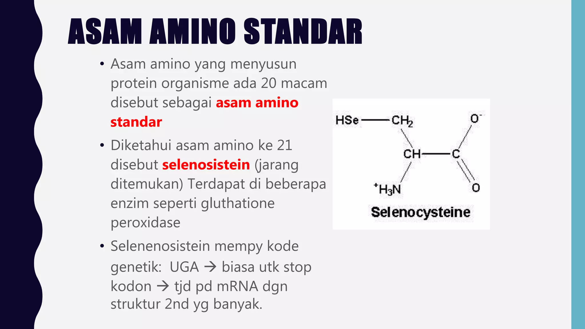 Asam amino, Peptida, dan Protein (4).pptx