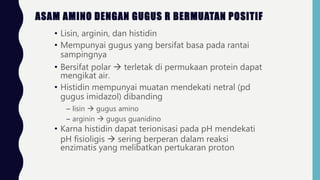 Asam amino, Peptida, dan Protein (4).pptx