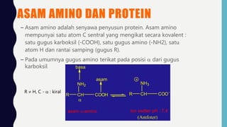 Asam amino, Peptida, dan Protein (4).pptx