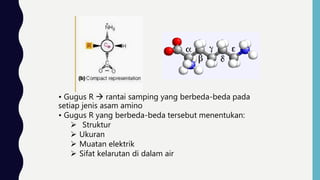 Asam amino, Peptida, dan Protein (4).pptx
