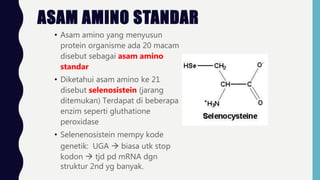 Asam amino, Peptida, dan Protein (4).pptx