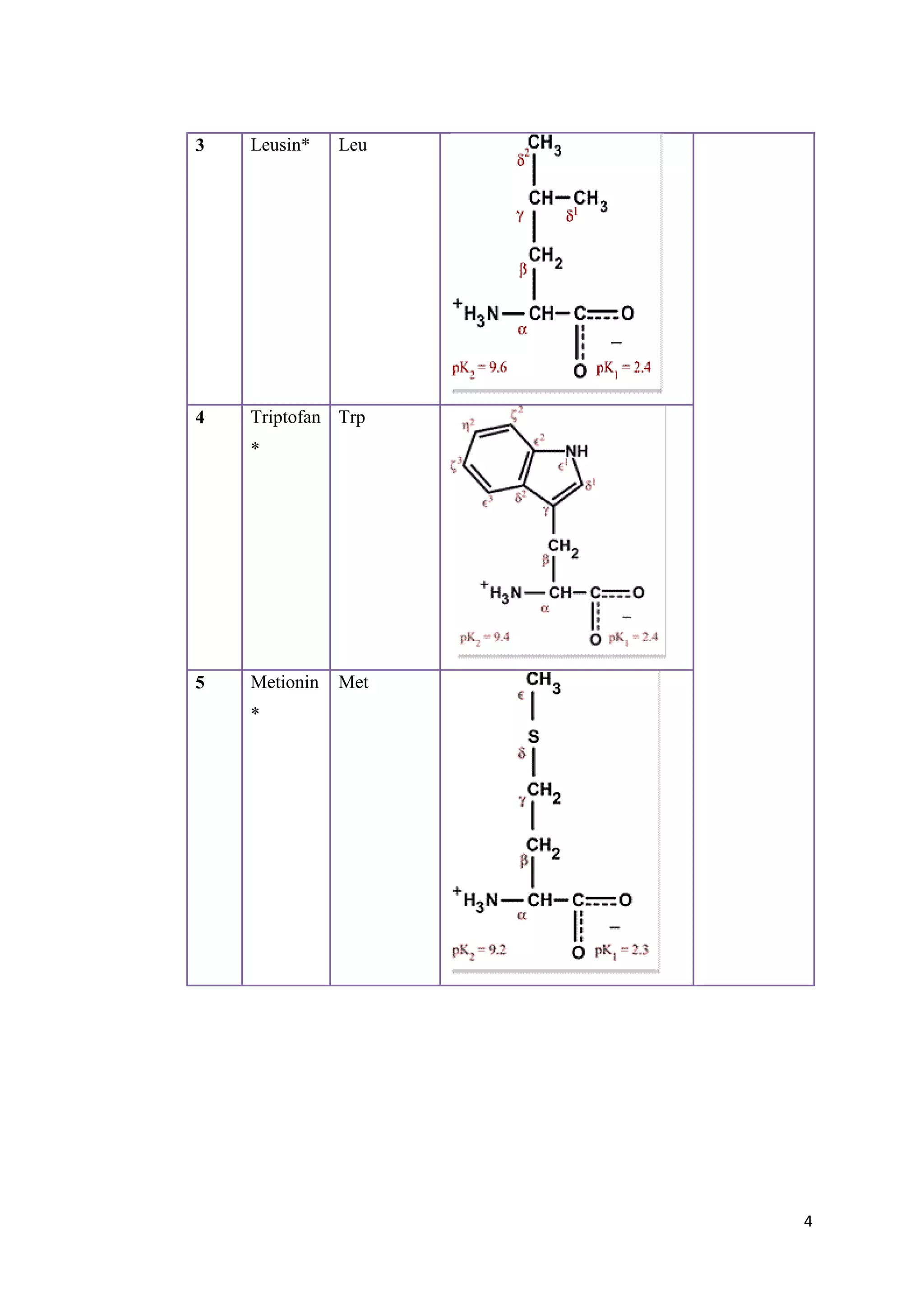Asam amino, peptida, protein | DOCX