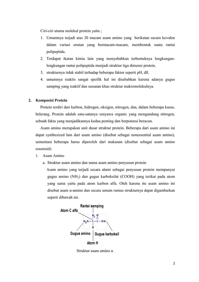 Asam amino, peptida, protein | DOCX