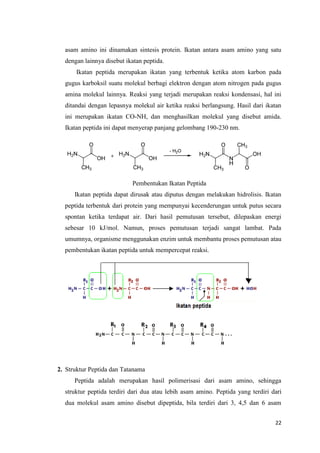 Asam amino, peptida, protein | DOCX