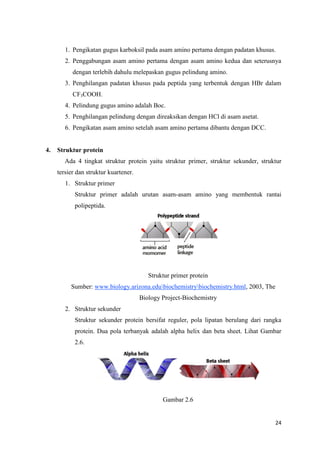 Asam amino, peptida, protein | DOCX