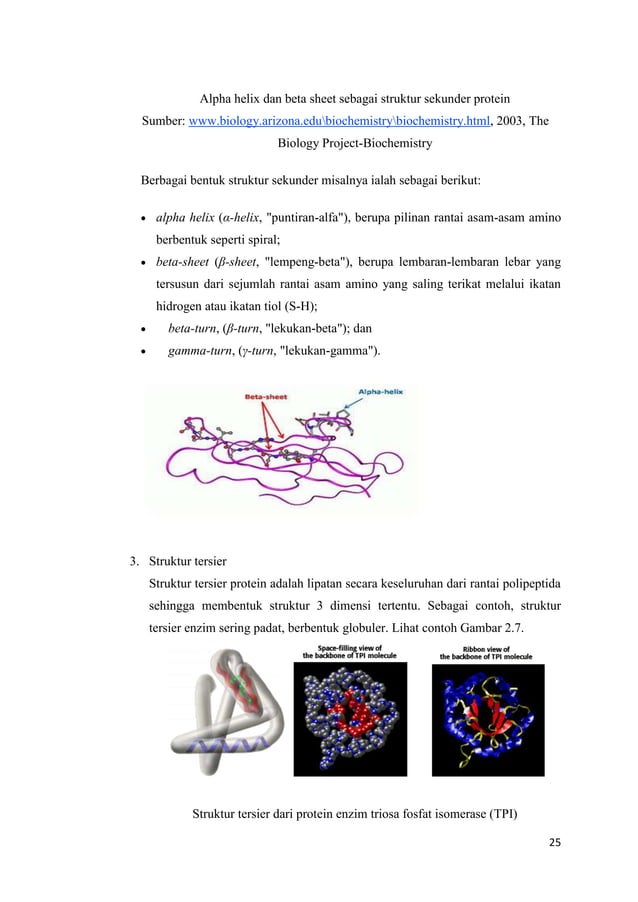 Asam amino, peptida, protein | DOCX