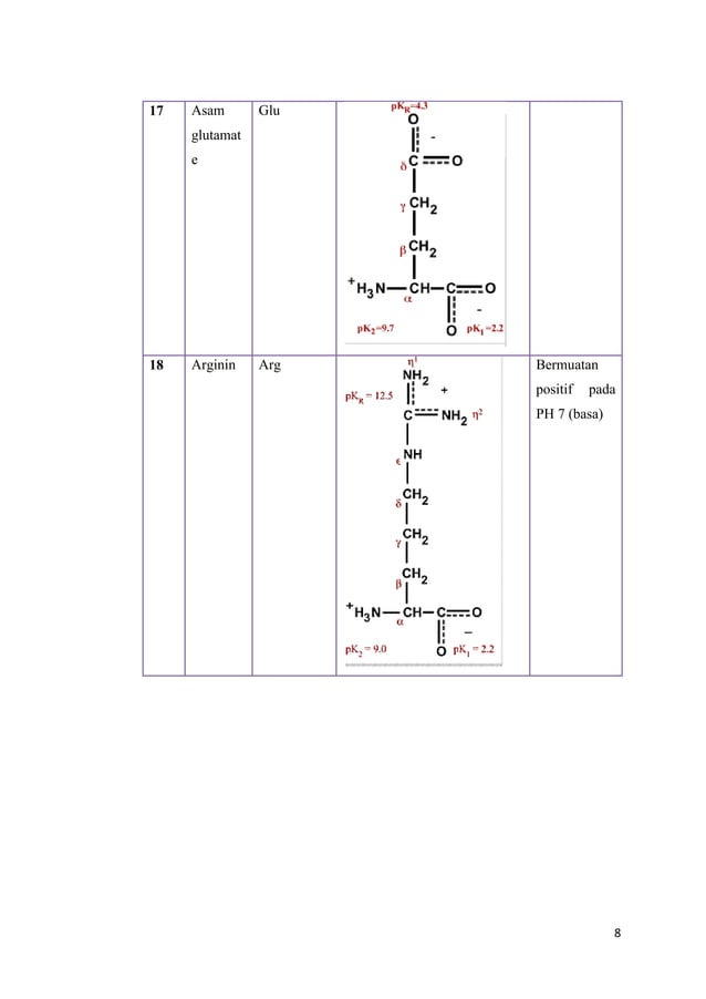 Asam amino, peptida, protein | DOCX
