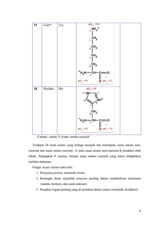 Asam amino, peptida, protein | DOCX