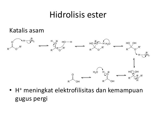 Asam karboksilat dan turunannya