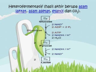 Fermentasi Asam laktat | PPTX