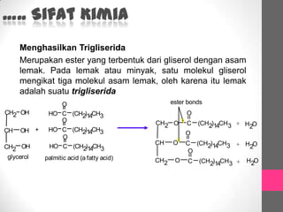 Asam Lemak (Fatty Acid) | PPTX