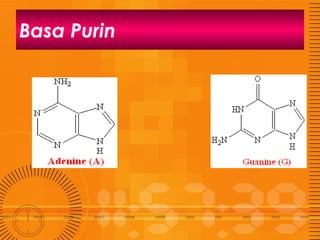 Asam Nukleotida | PPT