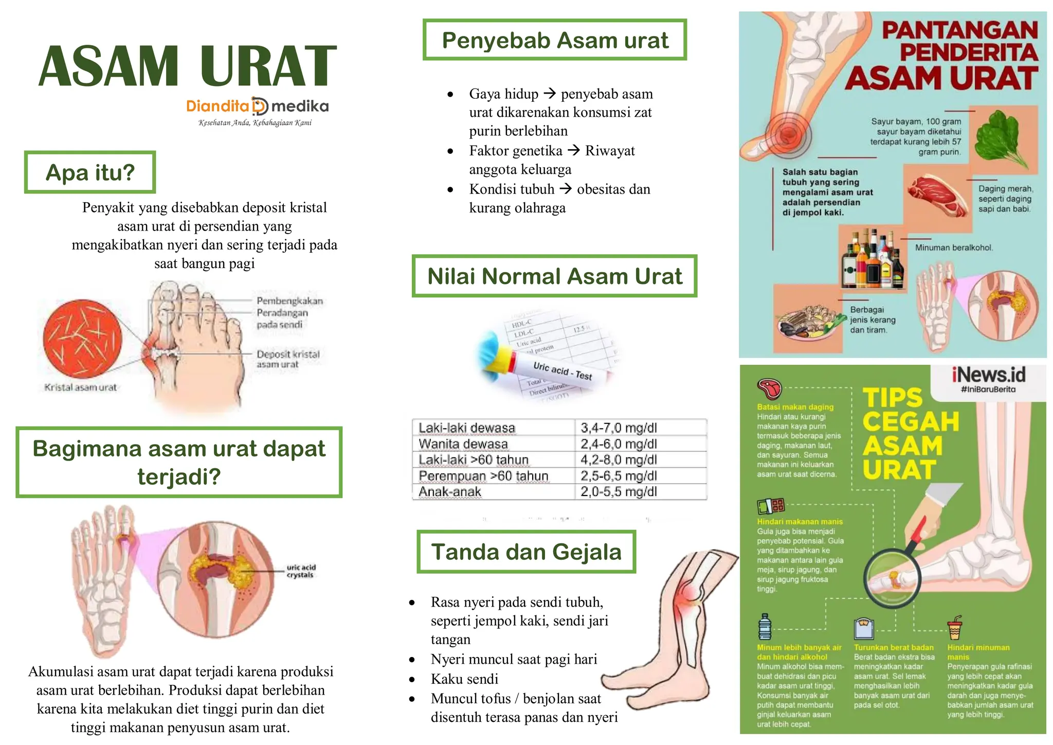 asam urat new fix.pdf
