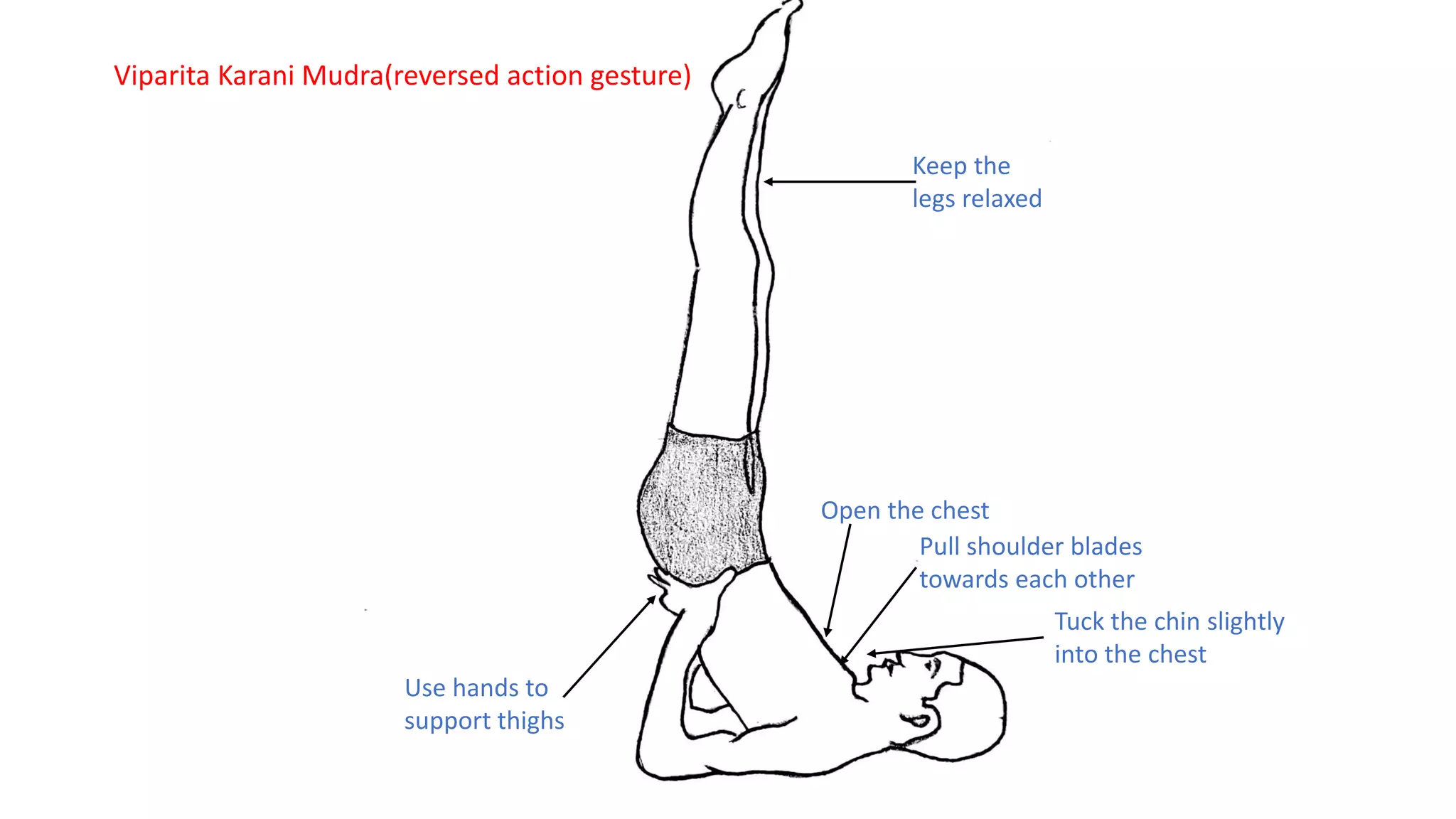 asana alignment karuna yoga ( PDFDrive ).pdf