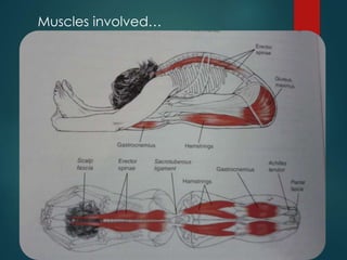 Asana anatomy | PPTX