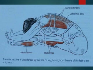Asana anatomy | PPTX