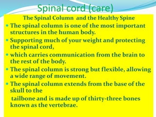 Asana for spinal care ppt | PPTX
