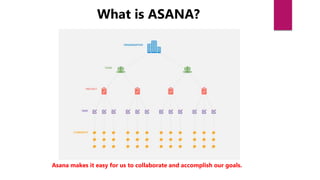 Kicking Off Asana | PPT