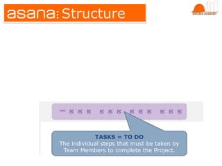 Asana Platform Structure | PPTX