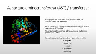 Aspartato aminotransferasa | PPT