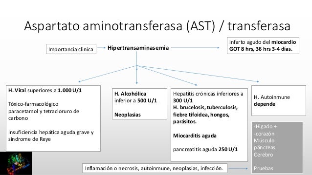 Aspartato aminotransferasa