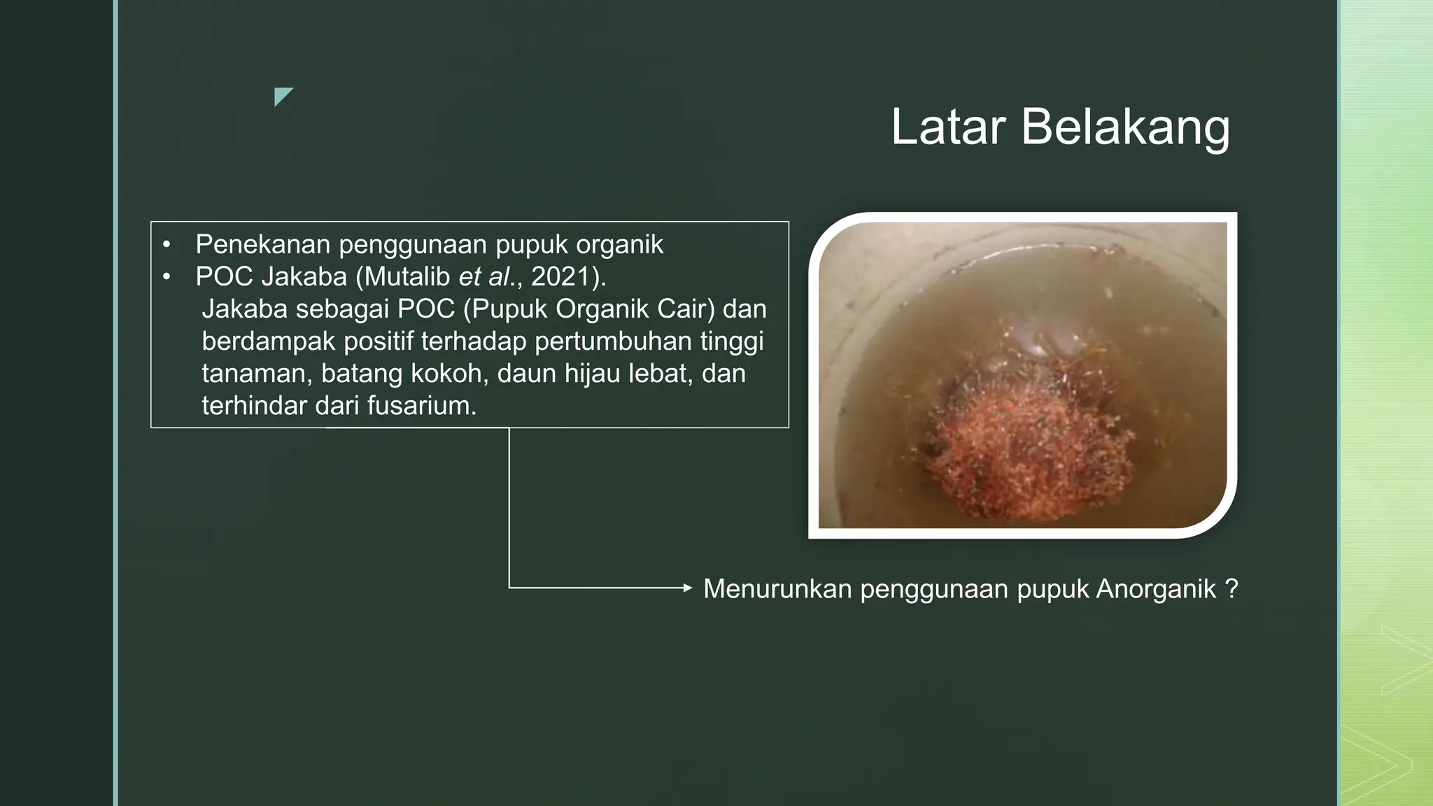 penelitian_jakaba_selada_merah2023nov.pptx
