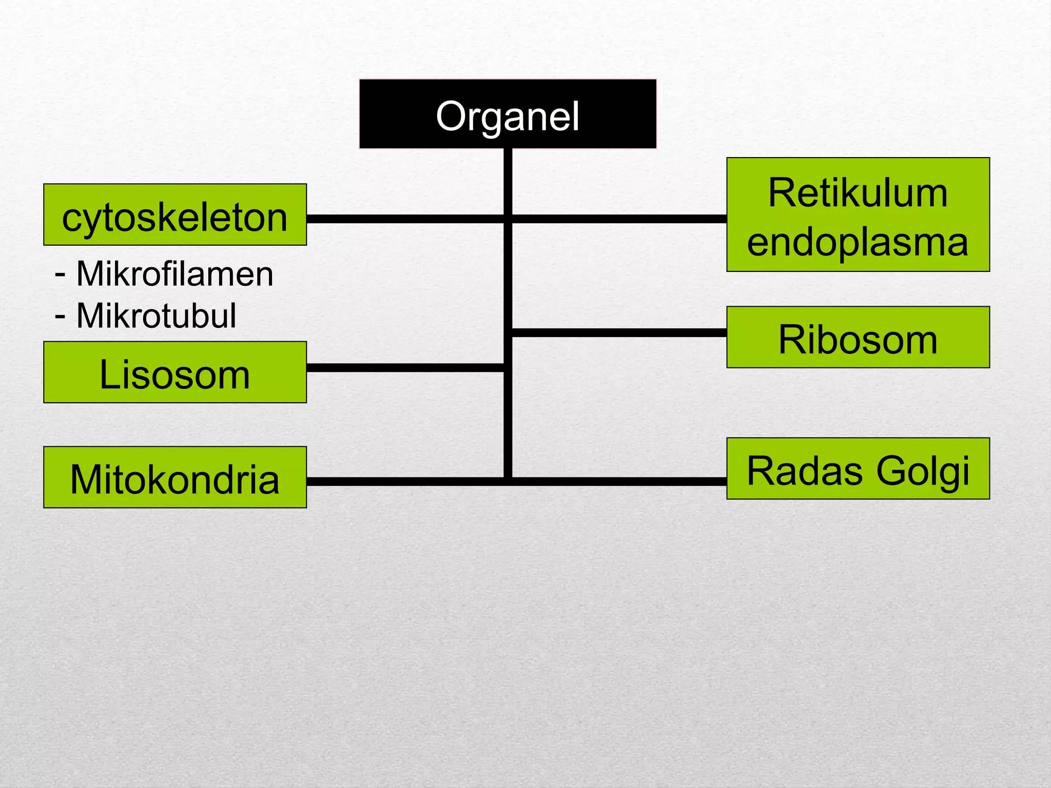 ASAS ANATOMI & FISIOLOGI - Peringkat Sel | PPT