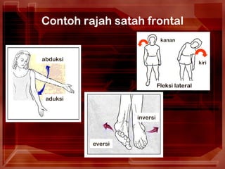 Asas biomekanik | PPT