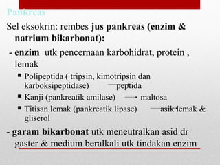 Asas sistem gastrousus | PPT