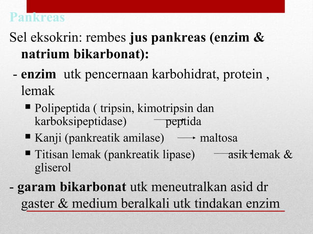 Asas sistem gastrousus | PPT