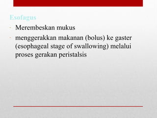 Asas sistem gastrousus | PPT