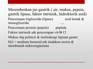 Asas sistem gastrousus | PPT