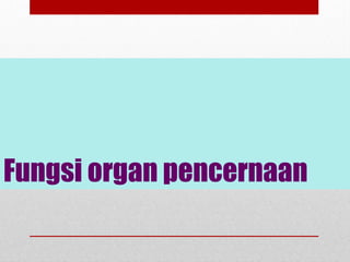 Asas sistem gastrousus | PPT