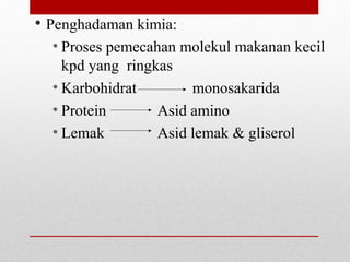 Asas sistem gastrousus | PPT
