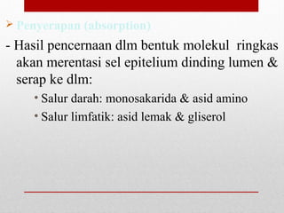 Asas sistem gastrousus | PPT