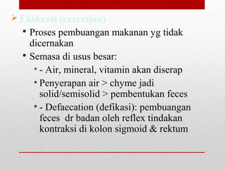 Asas sistem gastrousus | PPT