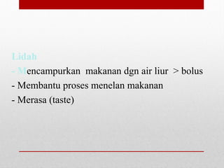 Asas sistem gastrousus | PPT
