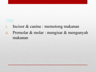 Asas sistem gastrousus | PPT