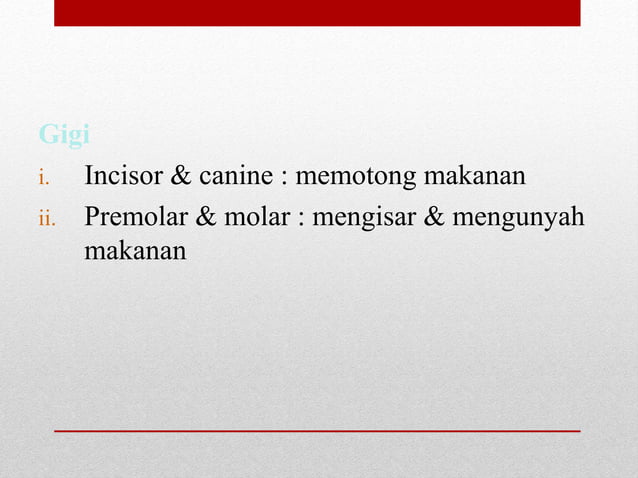 Asas sistem gastrousus | PPT