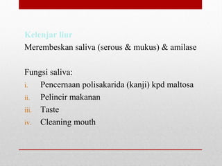 Asas sistem gastrousus | PPT