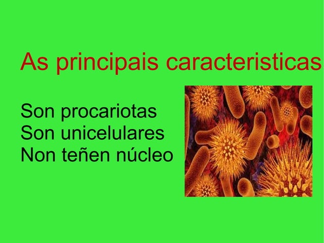As bacterias e_as_enfermidades | ODP