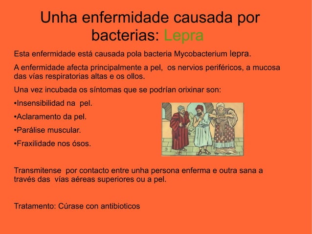 As bacterias e_as_enfermidades | ODP