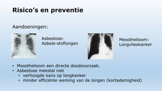 Asbestherkenning | PPTX