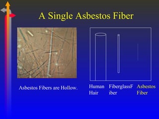 Asbestos Awareness | PPT