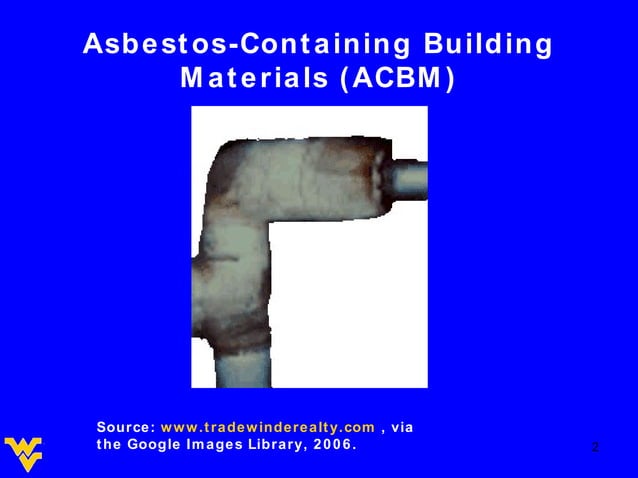 Asbestos in Buildings and Health Effects | PPT | Lung and Respiratory ...